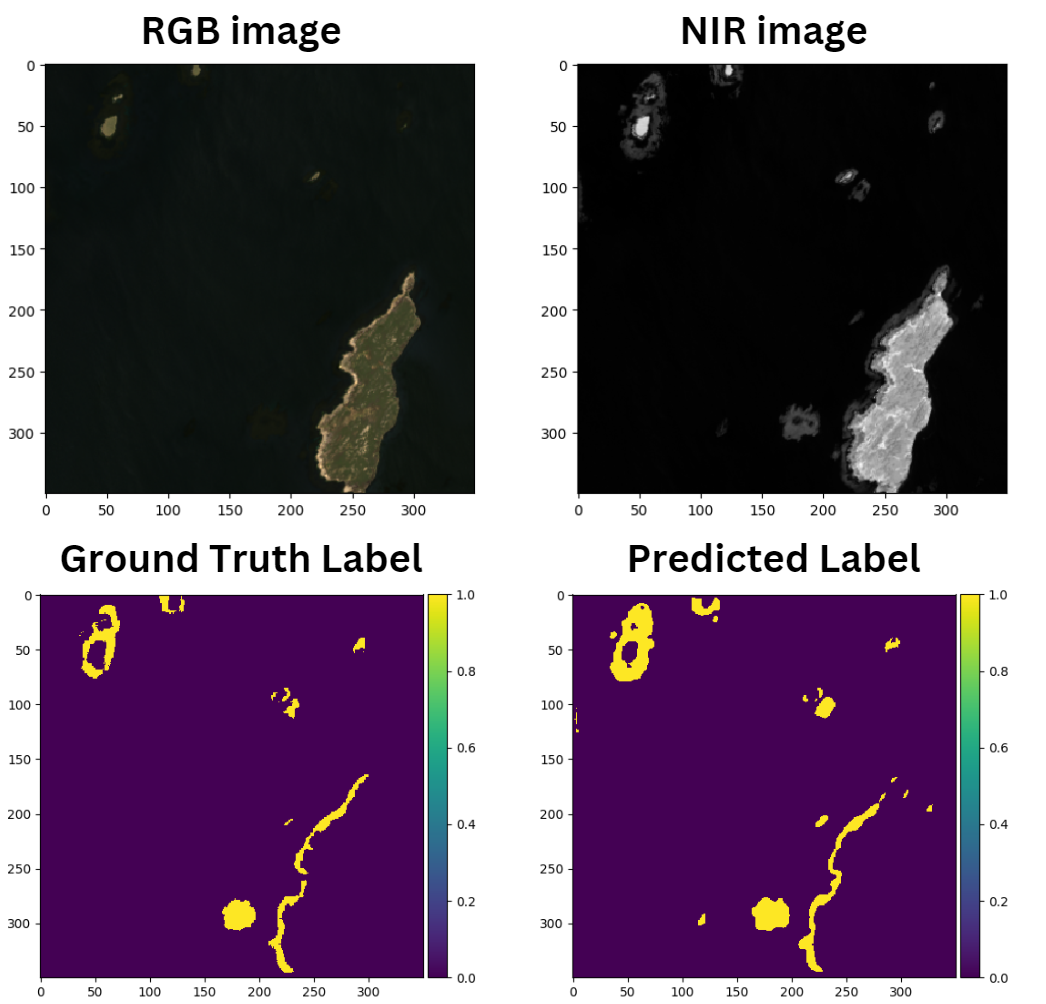 Results of Kelp Segmentation